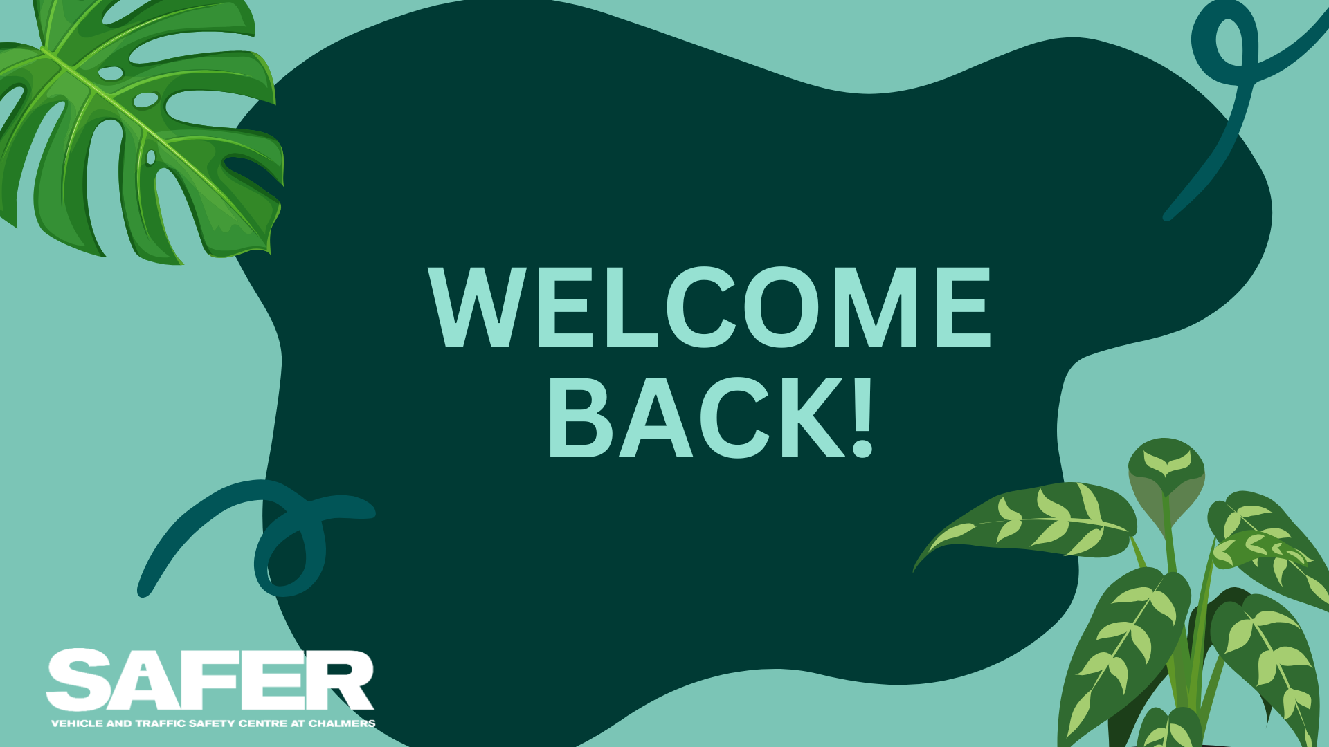 Welcome back to SAFER - spring 2026! | Safer